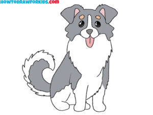 How to Draw an Australian Shepherd - Drawing Tutorial For Kids