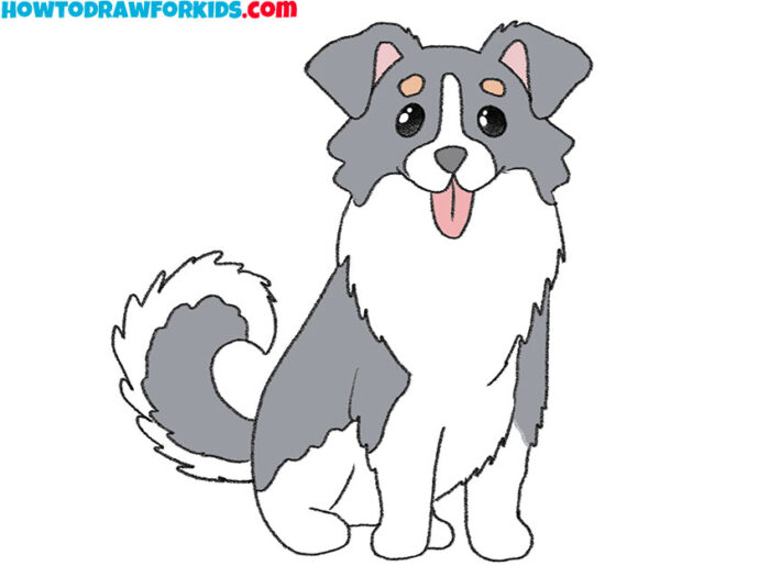 How to Draw an Australian Shepherd - Drawing Tutorial For Kids