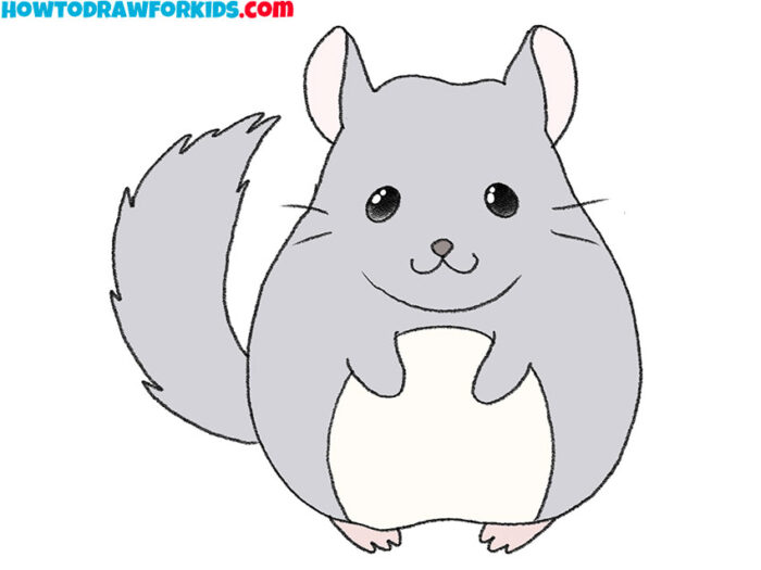 How to Draw a Chinchilla - Easy Drawing Tutorial For Kids