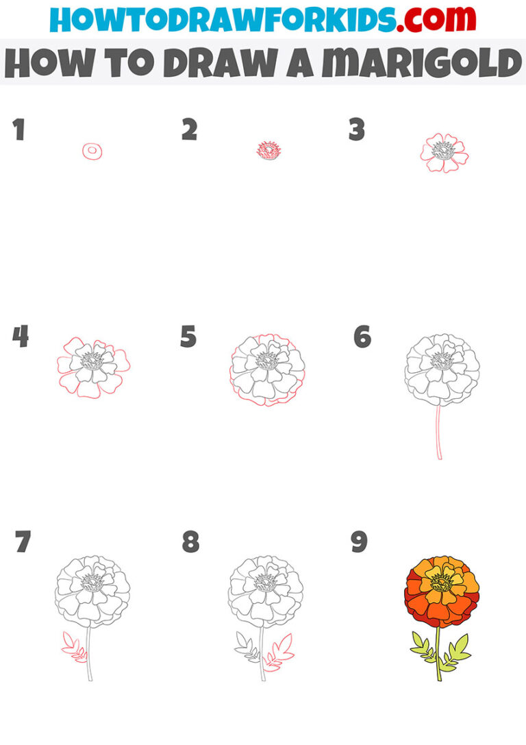 How to Draw a Marigold - Easy Drawing Tutorial For Kids