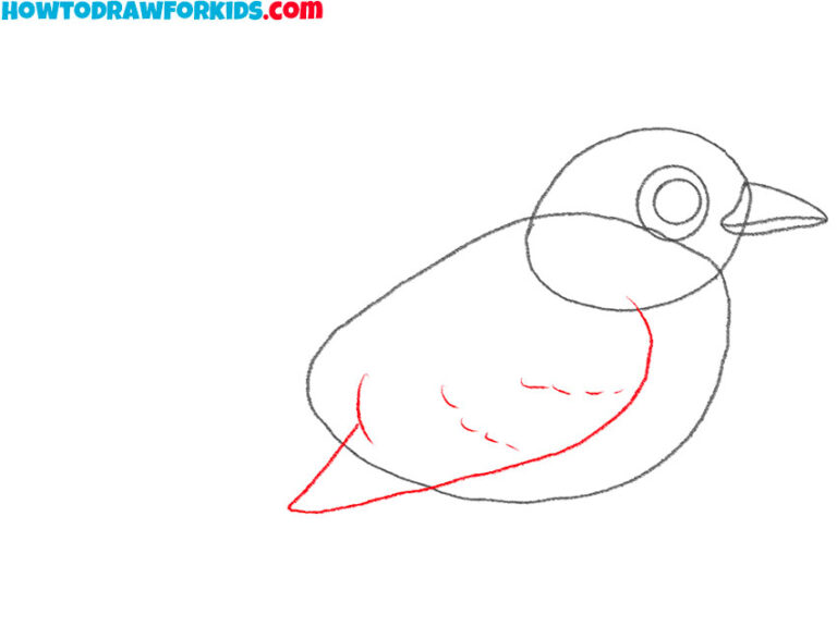 How to Draw a Mockingbird - Easy Drawing Tutorial For Kids