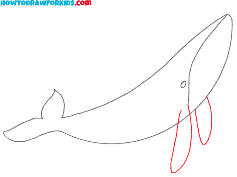 How to Draw a Humpback Whale - Easy Drawing Tutorial For Kids