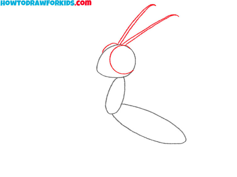 How to Draw a Praying Mantis - Easy Drawing Tutorial For Kids
