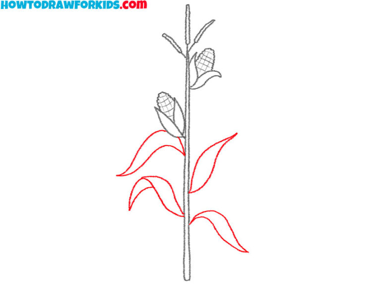 How to Draw a Corn Stalk - Easy Drawing Tutorial For Kids