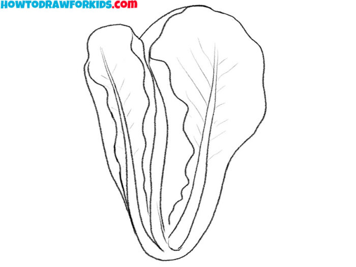 How to Draw a Lettuce - Easy Drawing Tutorial For Kids