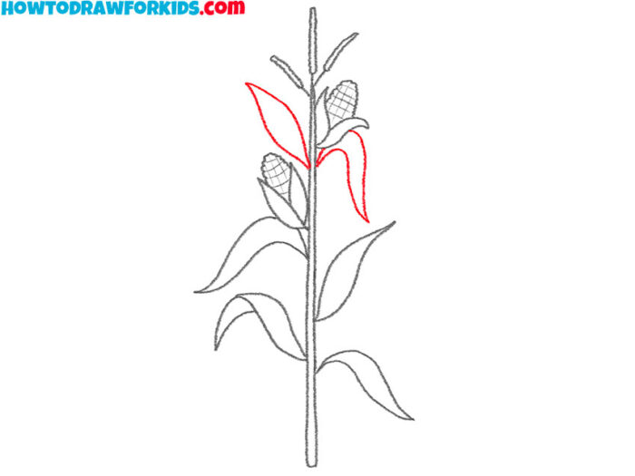 How to Draw a Corn Stalk - Easy Drawing Tutorial For Kids