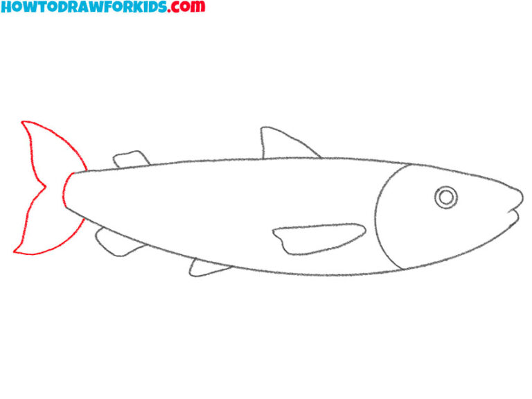How to Draw a Salmon - Easy Drawing Tutorial For Kids