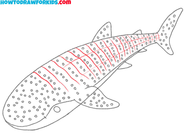 How to Draw a Whale Shark - Easy Drawing Tutorial For Kids