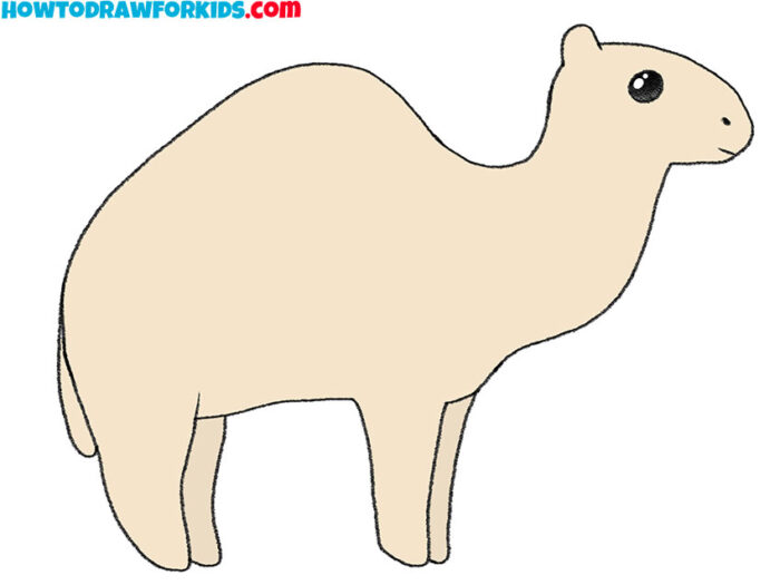 How to Draw an Easy Camel - Easy Drawing Tutorial For Kids