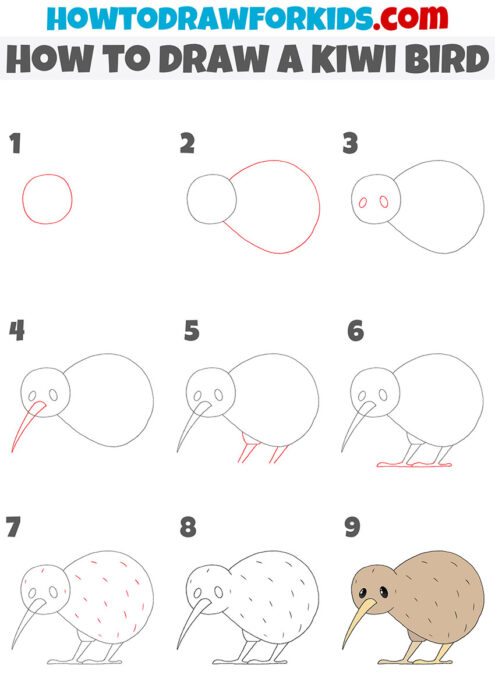 How to Draw a Kiwi Bird - Easy Drawing Tutorial For Kids