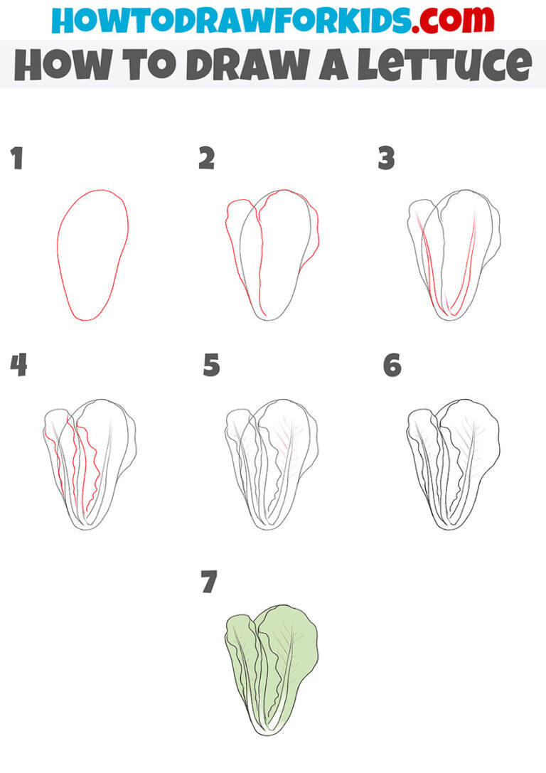 How to Draw a Lettuce - Easy Drawing Tutorial For Kids