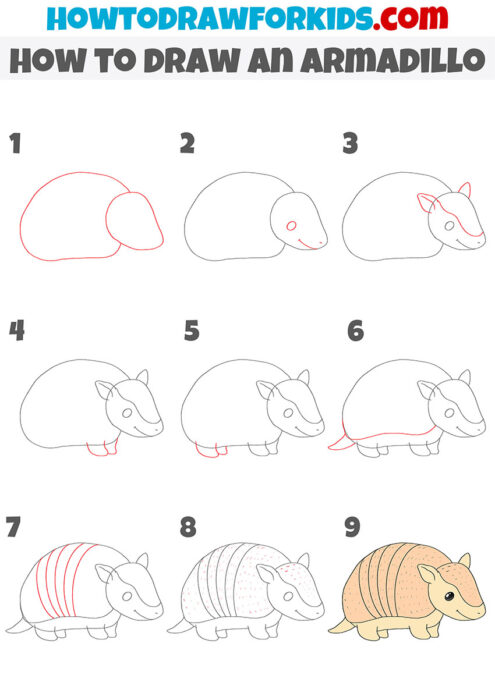 How to Draw an Armadillo - Easy Drawing Tutorial For Kids