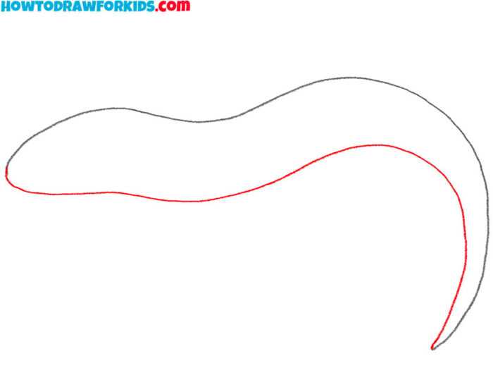 How to Draw a Salamander - Easy Drawing Tutorial For Kids