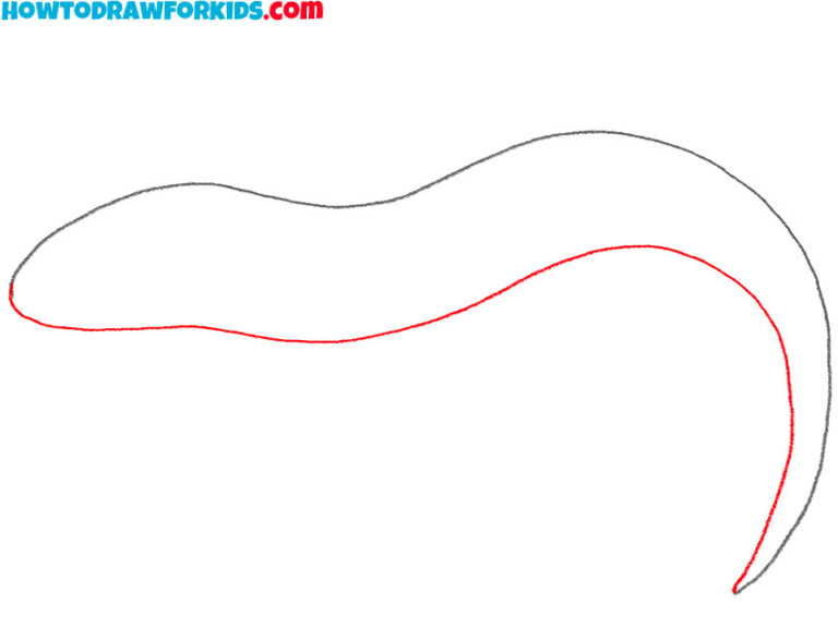 How to Draw a Salamander - Easy Drawing Tutorial For Kids