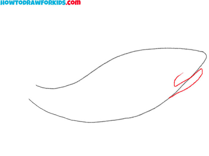 How to Draw a Trout - Easy Drawing Tutorial For Kids