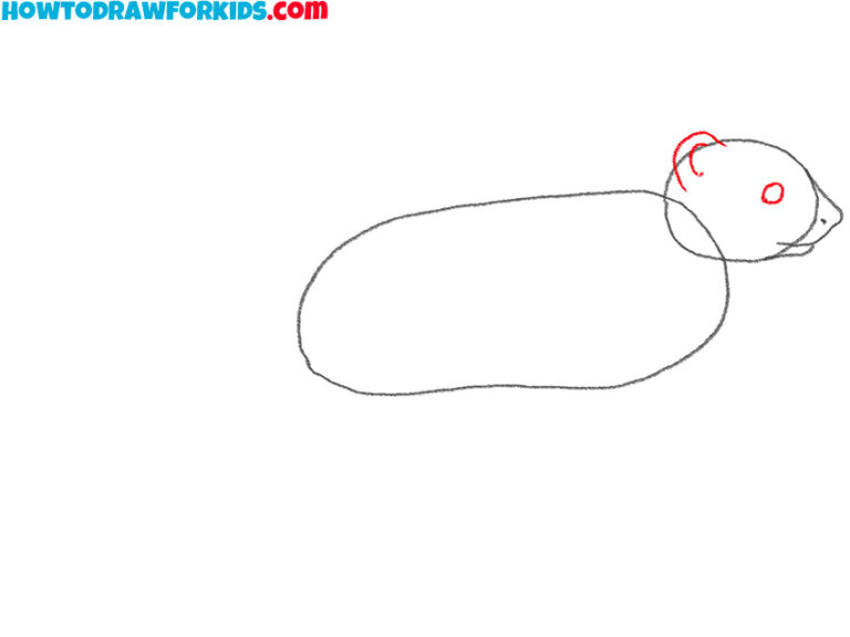 How to Draw a Mongoose - Easy Drawing Tutorial For Kids