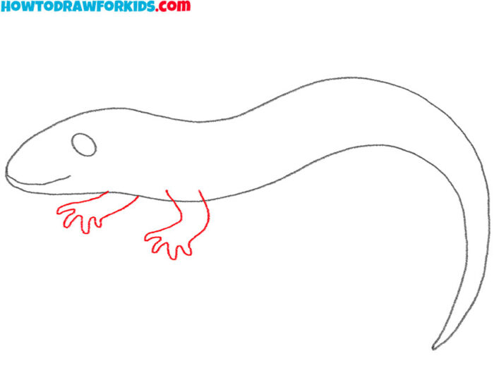 How to Draw a Salamander - Easy Drawing Tutorial For Kids