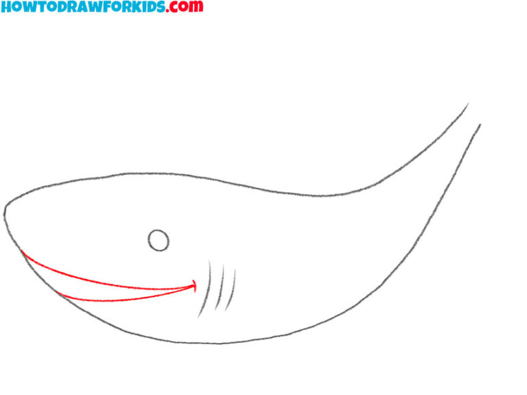 How to Draw a Cartoon Shark - Easy Drawing Tutorial For Kids