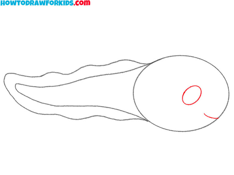 How to Draw a Tadpole - Easy Drawing Tutorial For Kids