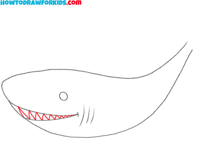 How to Draw a Cartoon Shark - Easy Drawing Tutorial For Kids