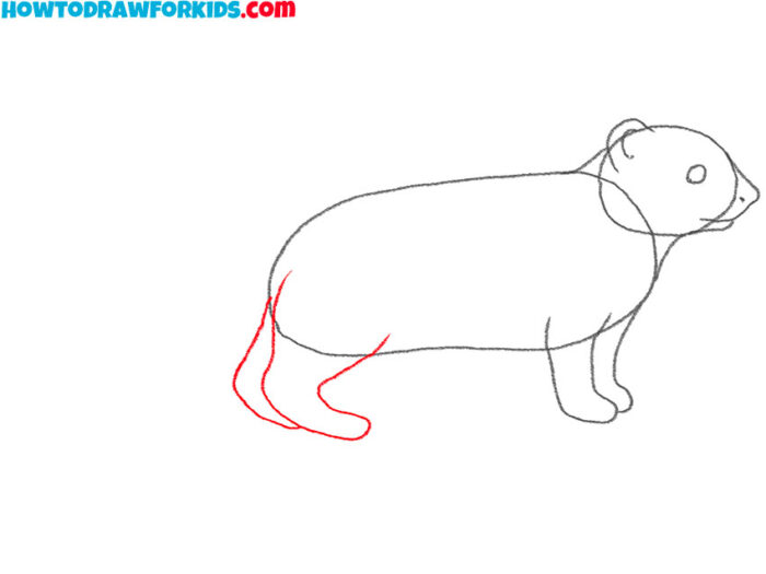 How to Draw a Mongoose - Easy Drawing Tutorial For Kids