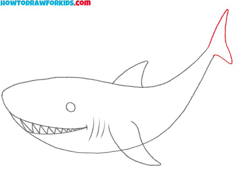 How to Draw a Cartoon Shark - Easy Drawing Tutorial For Kids