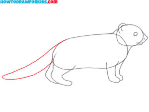 How to Draw a Mongoose - Easy Drawing Tutorial For Kids