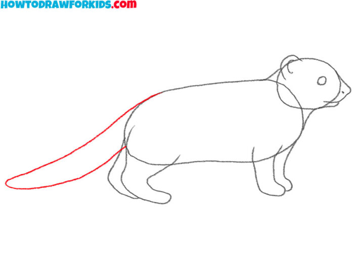 How to Draw a Mongoose - Easy Drawing Tutorial For Kids