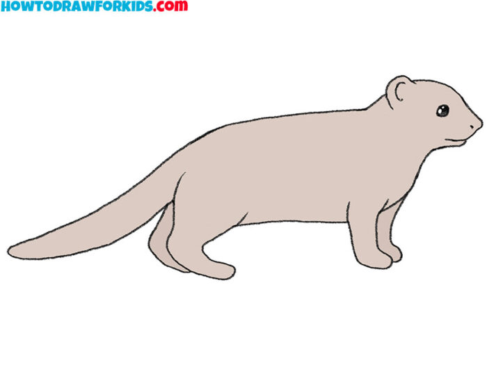 How to Draw a Mongoose - Easy Drawing Tutorial For Kids