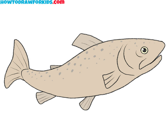 How to Draw a Trout - Easy Drawing Tutorial For Kids