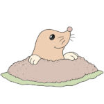 How to Draw a Panther - Easy Drawing Tutorial For Kids