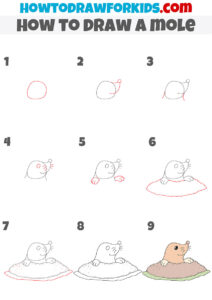 How to Draw a Mole - Easy Drawing Tutorial For Kids