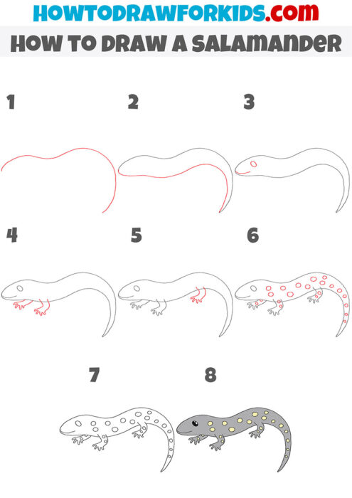 How to Draw a Salamander - Easy Drawing Tutorial For Kids