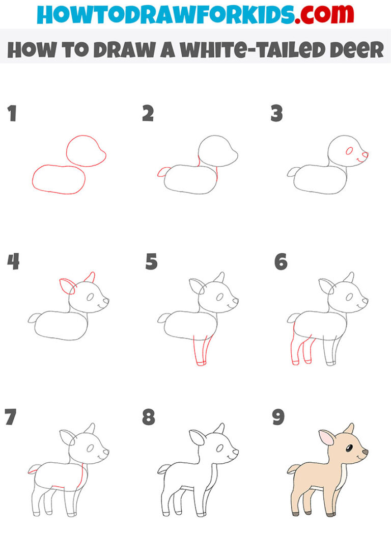How to Draw a White-Tailed Deer - Easy Drawing Tutorial For Kids