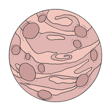 Drawing Tutorials - How to Draw for Kids