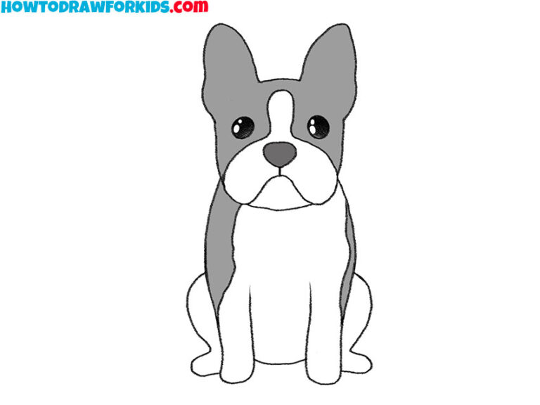 How to Draw a Boston Terrier - Easy Drawing Tutorial For Kids