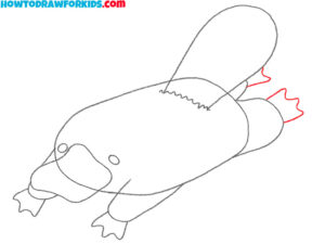 How to Draw a Platypus - Easy Drawing Tutorial For Kids