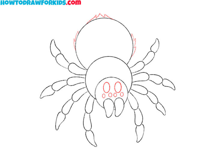 How to Draw a Tarantula - Easy Drawing Tutorial For Kids