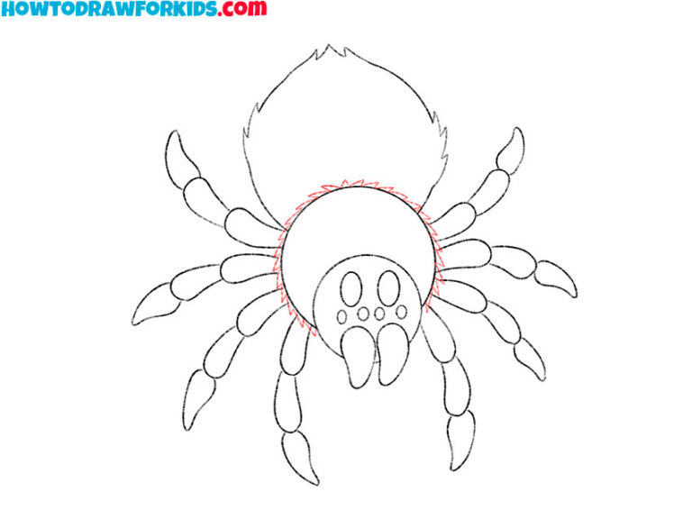 How to Draw a Tarantula - Easy Drawing Tutorial For Kids