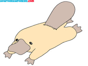 How to Draw a Platypus - Easy Drawing Tutorial For Kids