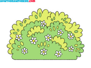 How to Draw a Shrub - Easy Drawing Tutorial For Kids