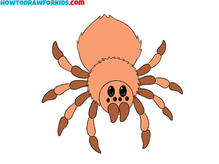How to Draw a Tarantula - Easy Drawing Tutorial For Kids