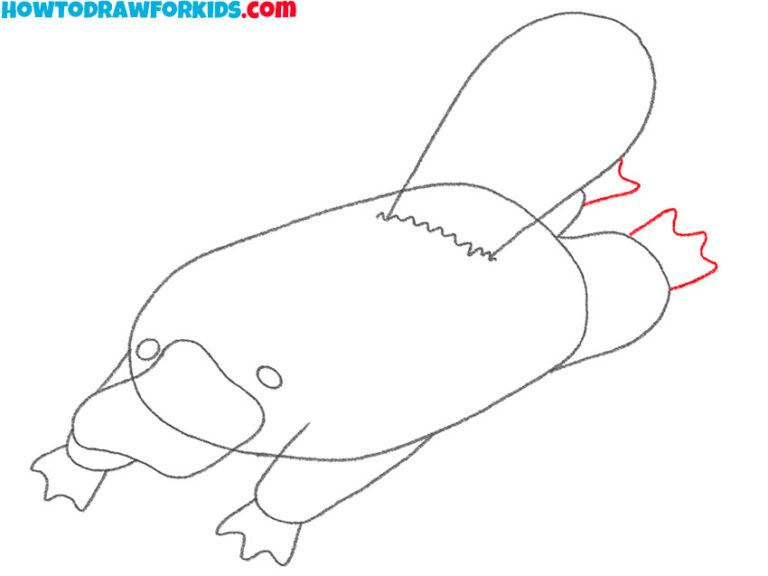 How to Draw a Platypus - Easy Drawing Tutorial For Kids