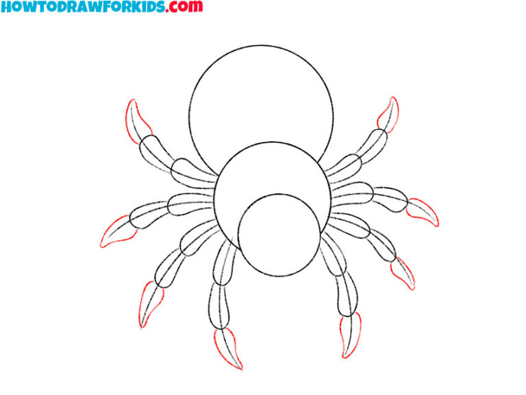 How to Draw a Tarantula - Easy Drawing Tutorial For Kids