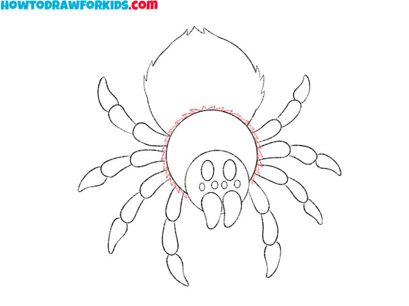 How to Draw a Tarantula - Easy Drawing Tutorial For Kids