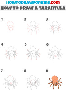 How to Draw a Tarantula - Easy Drawing Tutorial For Kids