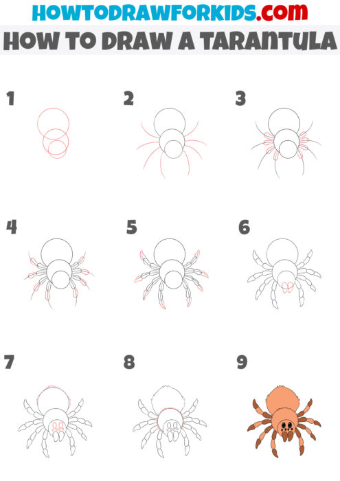How to Draw a Tarantula - Easy Drawing Tutorial For Kids
