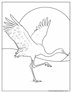 Crane Bird Coloring Pages - Free Printables