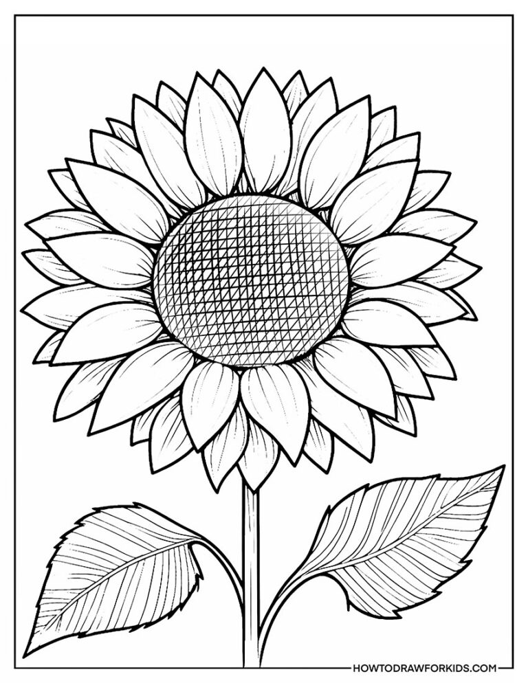 Sunflower Coloring Pages - Free Printables