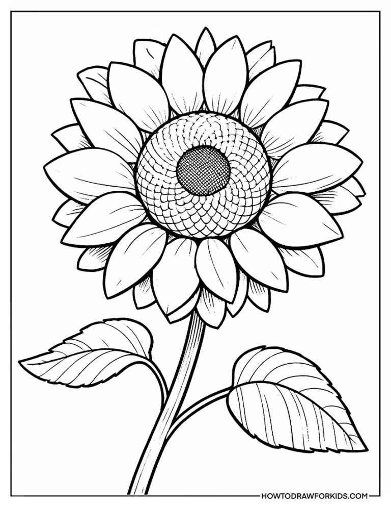 Sunflower Coloring Pages - Free Printables
